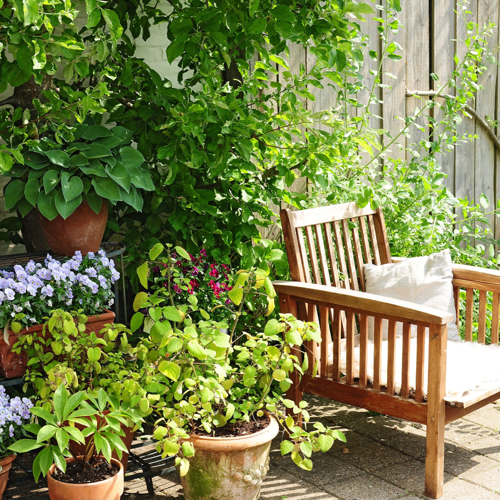 Wat is meranti hout? Alle voor- en nadelen van de houtsoort