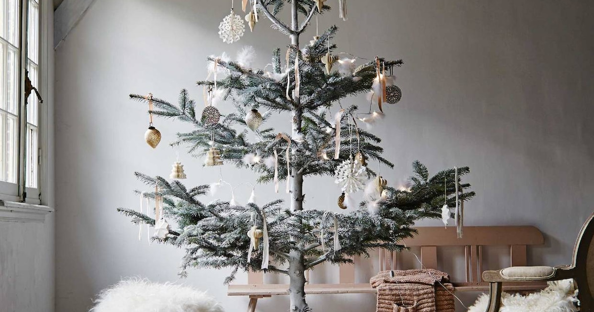 Denk out of the box: 3 verrassende plekken voor de kerstboom
