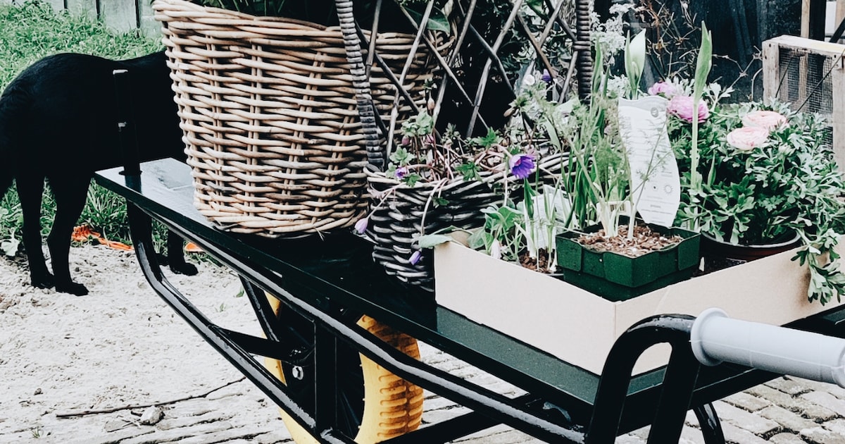 Vivian en Mark doen een voorjaarsschoonmaak in de tuin | vtwonen