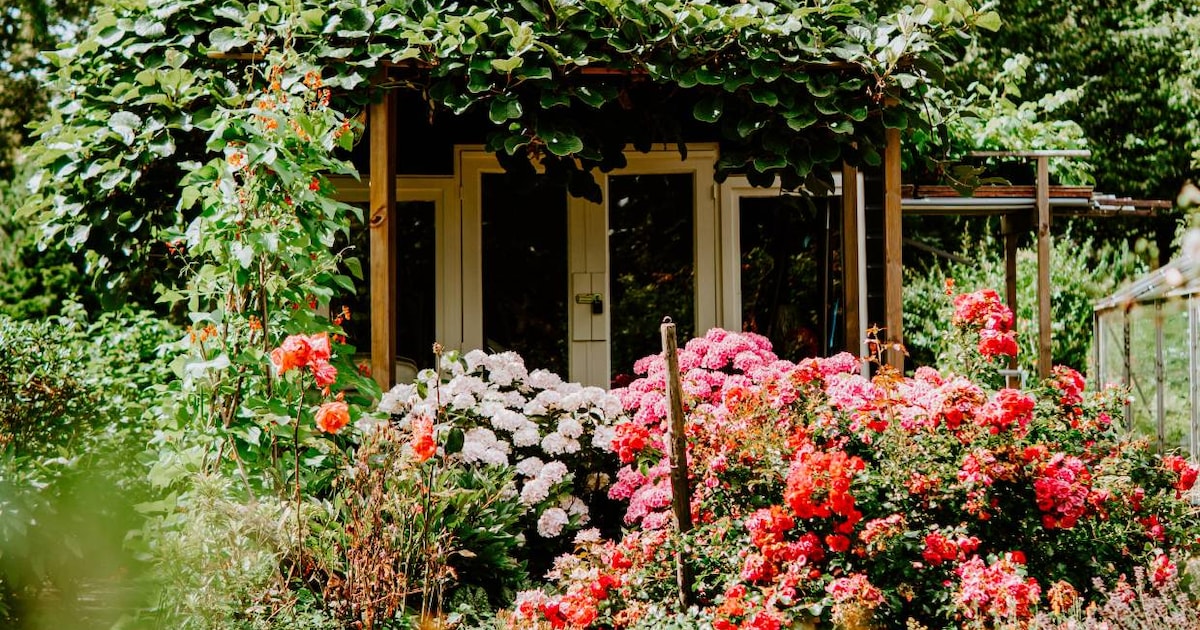 Engelse tuin: planten voor een cottage-tuin | vtwonen