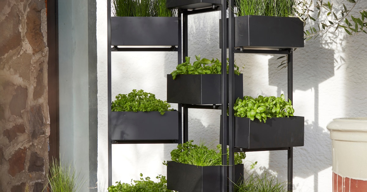 Tips voor verticaal tuinieren en een verticale tuin aanleggen