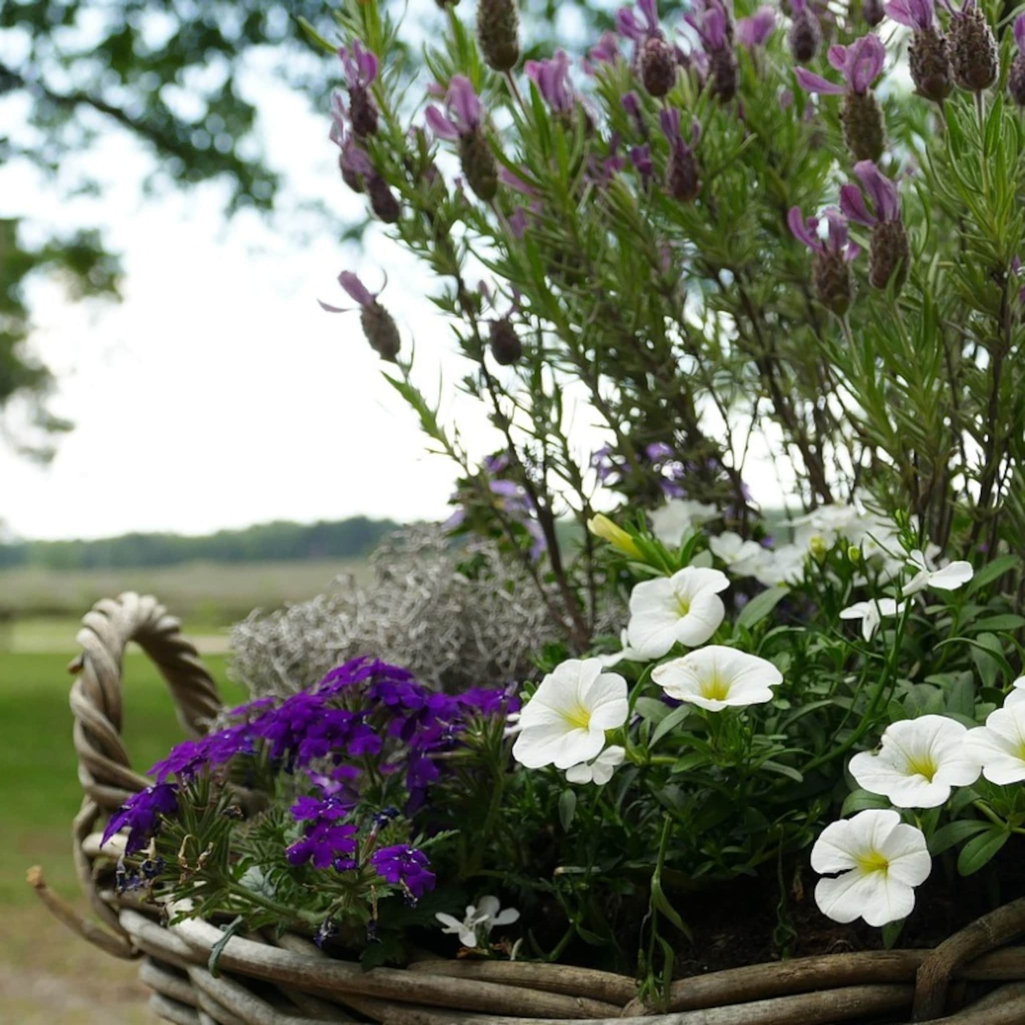 Ecologische voetafdruk berekenen: zo doe je dat | vtwonen