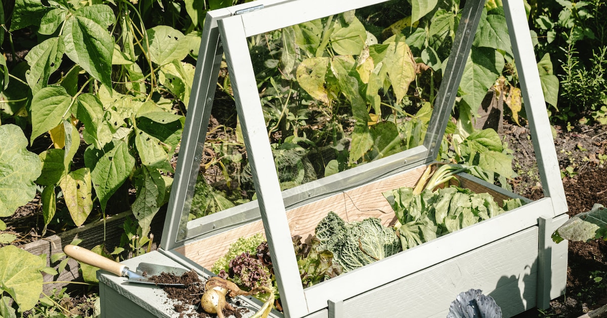 DIY: kweek groenten in een zelfgemaakte minikas | vtwonen